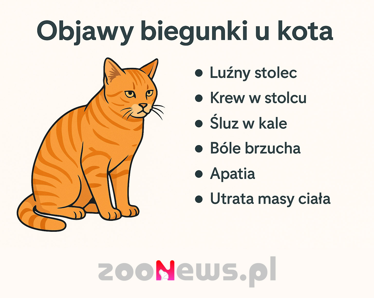 Biegunka u kota – objawy, przyczyny, pierwsza pomoc
