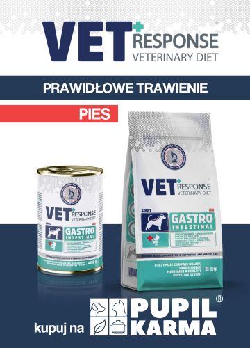 PIES Z MASKI – jak ma na imię i co to za rasa? | Zoonews.pl