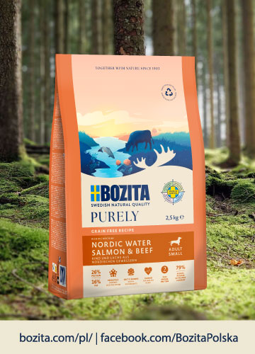 Psy obronne – Poznaj 16 ras psów obronnych | Zoonews.pl