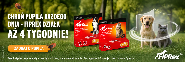 Burunduk – wiewiórka syberyjska – opis gatunku | Zoonews.pl