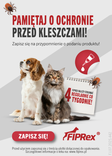 Psy obronne – Poznaj 16 ras psów obronnych | Zoonews.pl